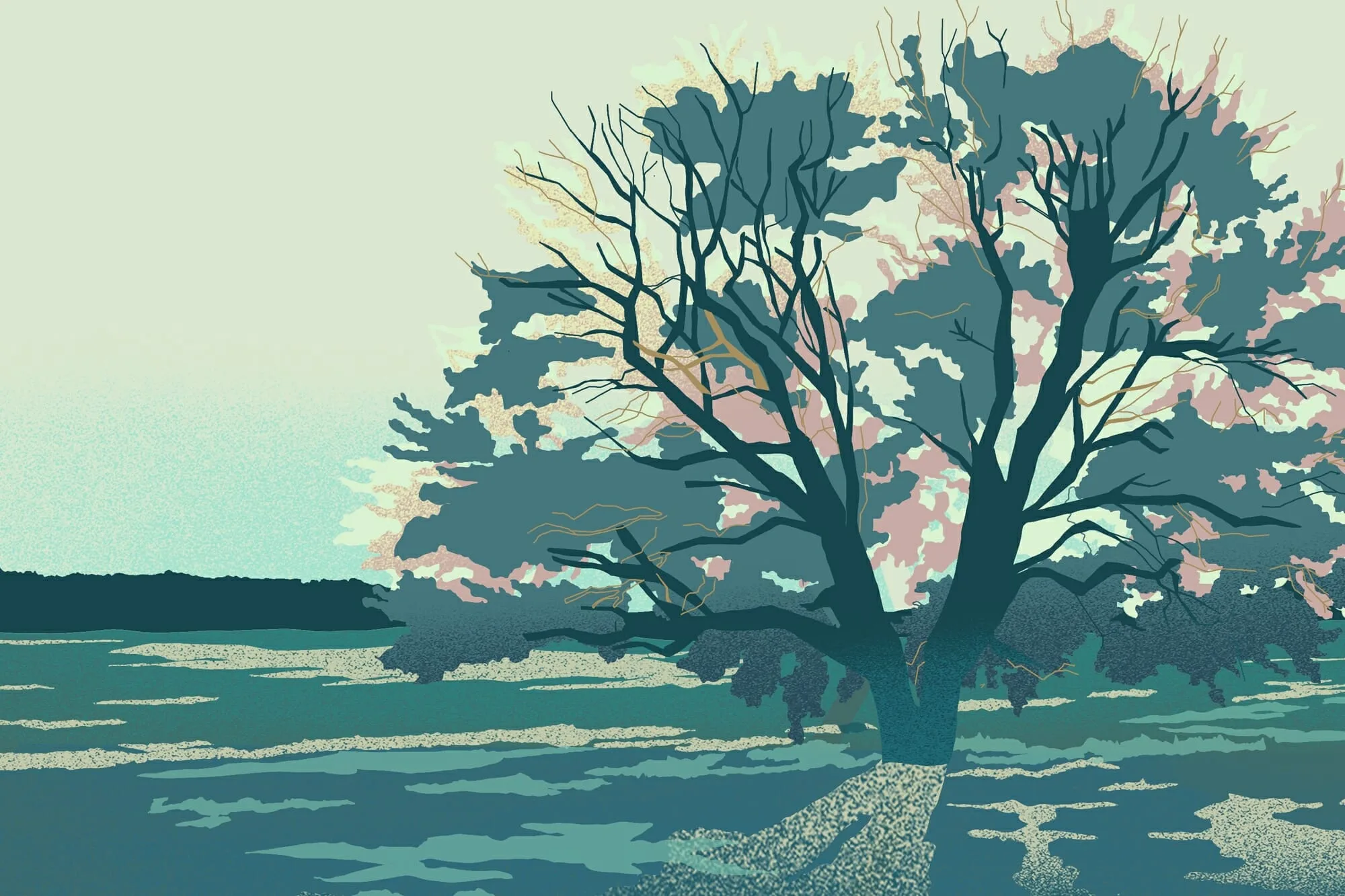 Walter Aylen KC | Gatehouse Chambers